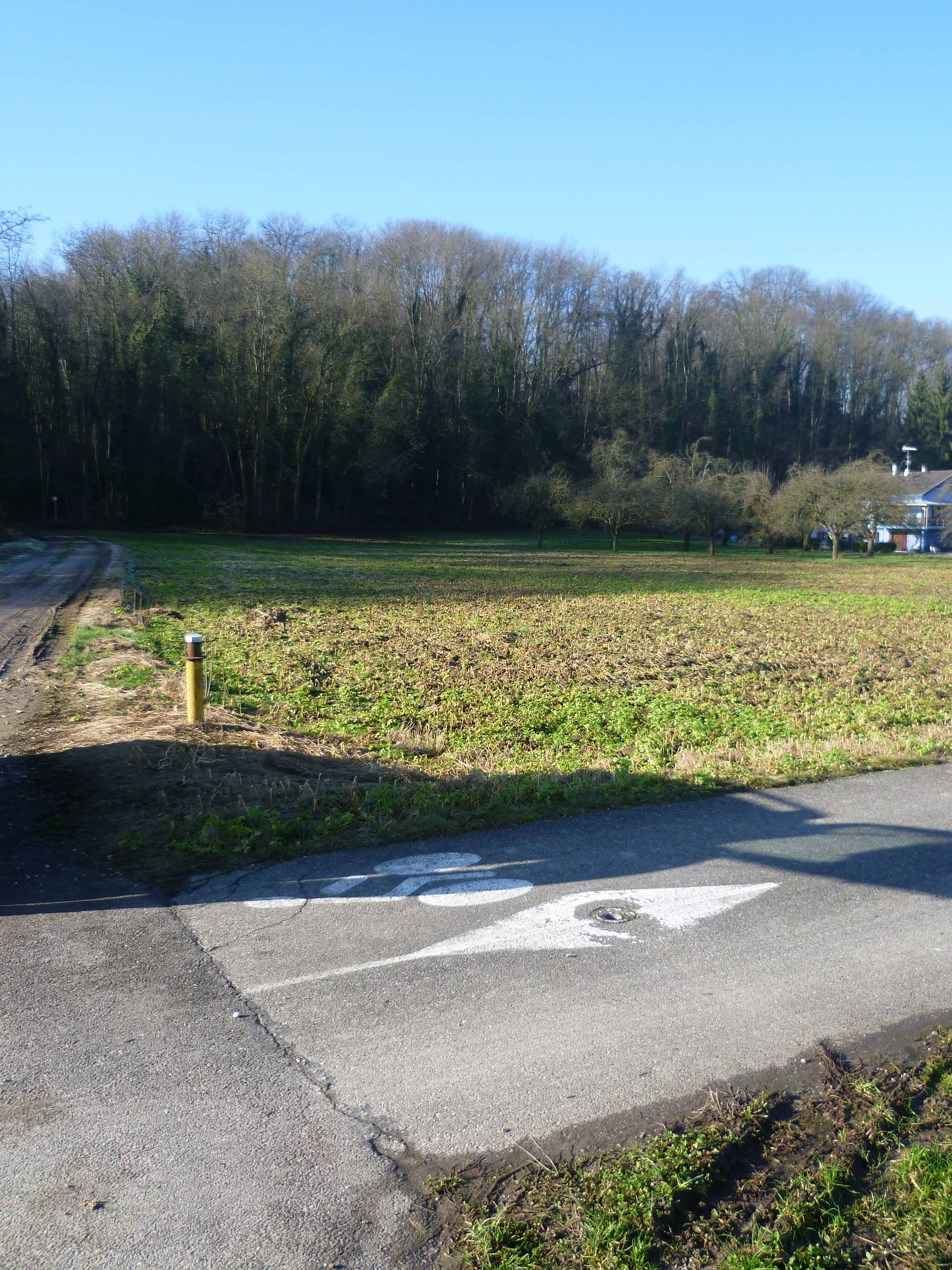 APRONA - Piézomètre 04453X0041 / A341