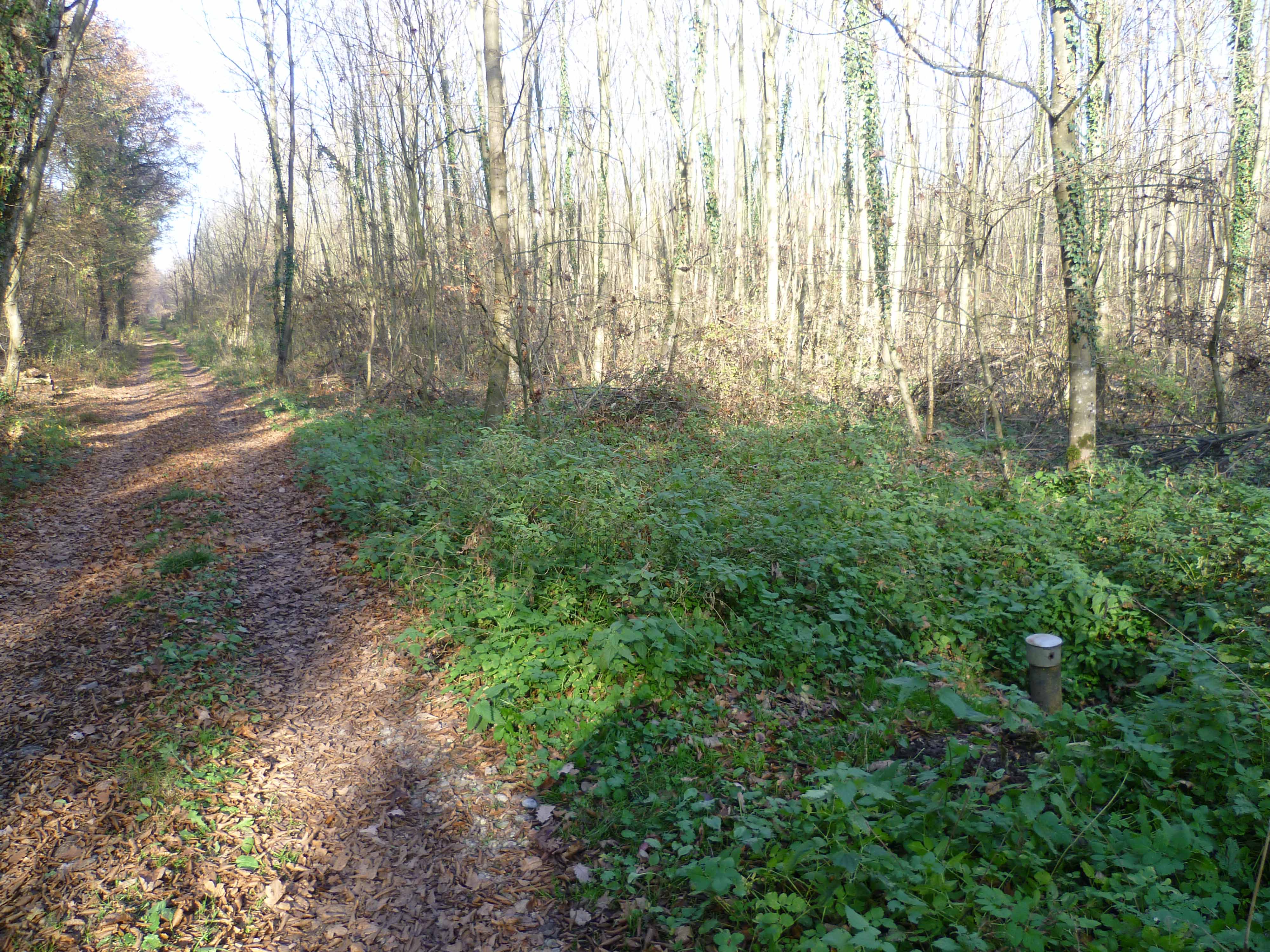 APRONA - Piézomètre 04454X0023 / S14